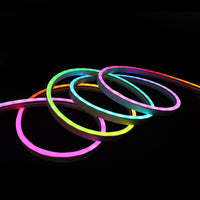 USB RGB Neon Light Strip Set – 5V Bluetooth APP Control, Silicone Wate