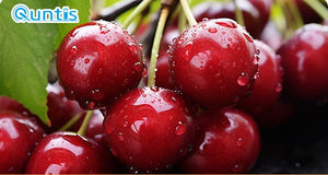 LED ScreenLinear Classic Monitor Light Bar – 15.7", Curved & Camera-Ready